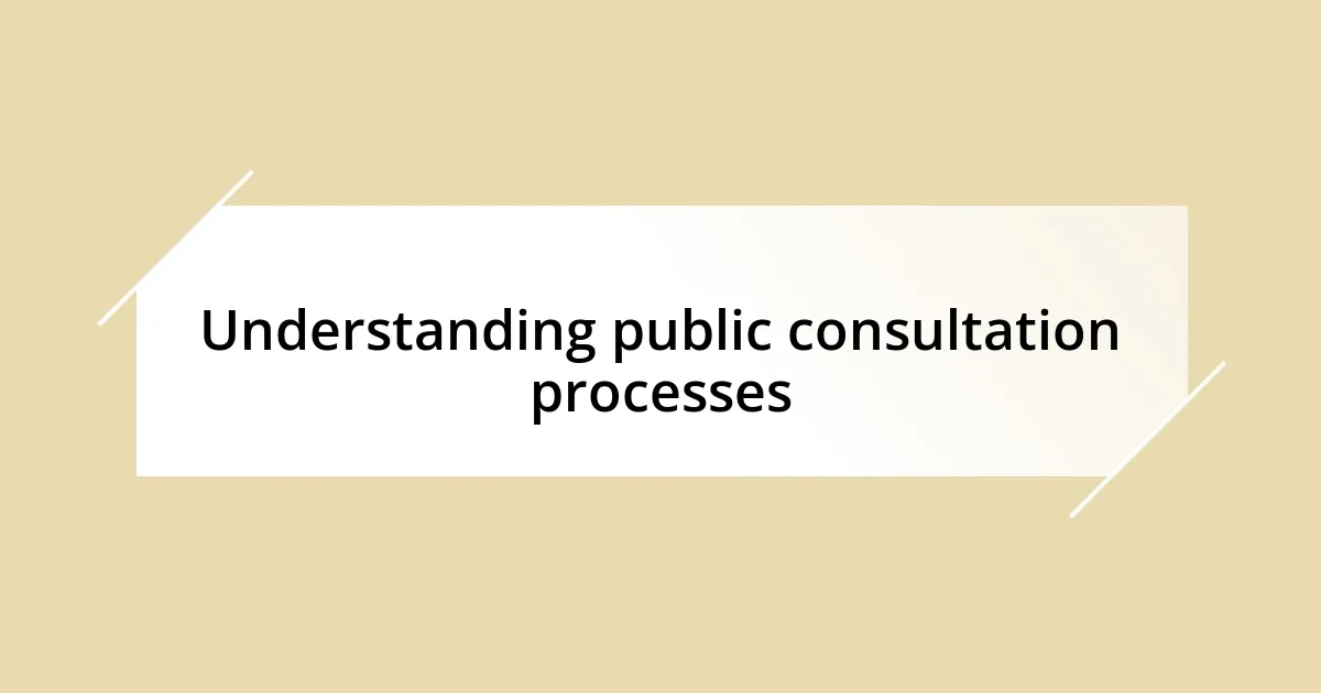 My lessons from public consultation processes / africanpro.co.za